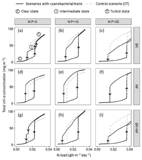 Bifurcation Plots Of Total Chl A Concentration For Different Scenarios