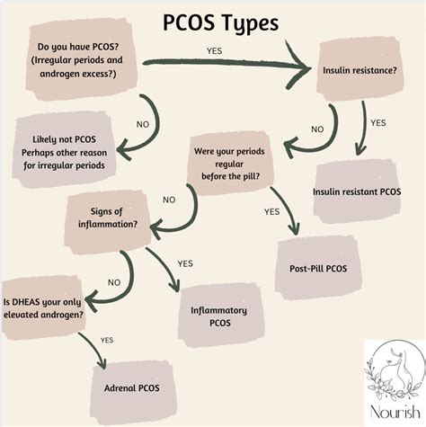 The Four Types Of Pcos Flowchart Womens Hormonal Health Dr Shannon Herbert Phd Rd Cdn