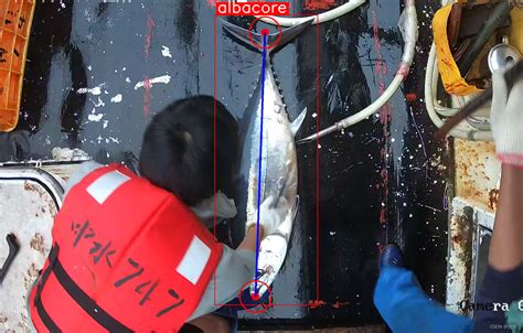 yolov8 pose 关键点检测坐标的提取（3个关键点） yolo pose关键点怎么提取坐标 csdn博客