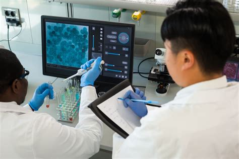 The Best Online Masters In Biomedical Engineering Programs