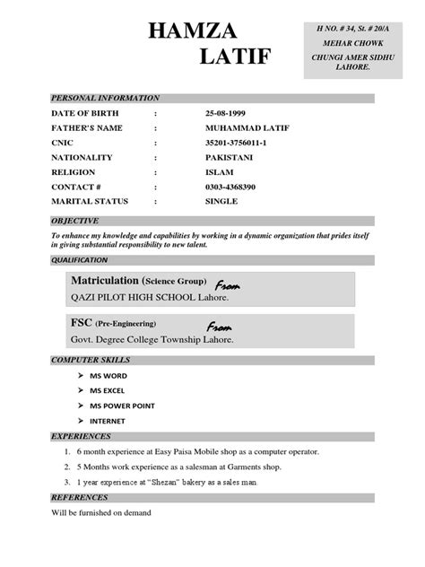 cv hamza latif pdf