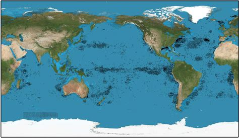 Sperm Whale Physeter Macrocephalus