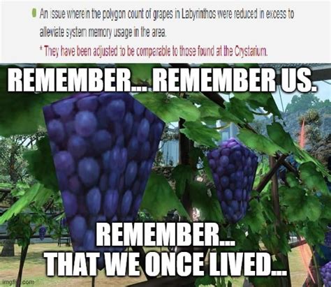 Gone Too Soon Rffxiv