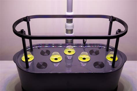 Aerogarden Bounty Trellis By Scholtzan Download Free Stl Model