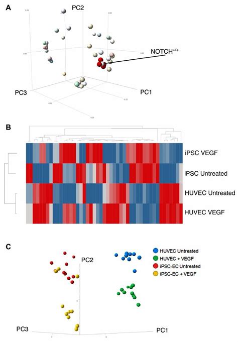 Multidimensional Reduction A The Obtained 47 Features Analyzed Are Download Scientific
