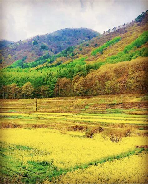 仁科神明宮長野県 さあ出かけようパワースポットへ