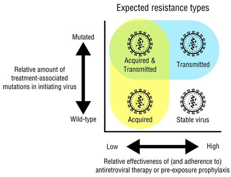 The Secret To Understanding Mutations An Unconventional Approach Through Analogies