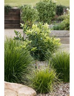 Render Or Cladding Houzz AU