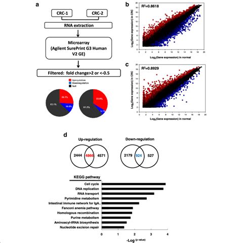 Transcriptome Profiles Of Two Crc Pairs Were Analyzed By A Microarray