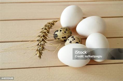 닭 둥지 및 계란 메 추 라 기의 둥지 닭고기에에서 계란과 메 추 라 기 계란 가장 아름 다운 백색 지상에 닭고기 달걀의 그림의 그림 달걀에 대한 스톡 사진 및 기타 이미지