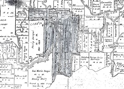 75 Acre Estate In Brasso Seco A1 Realty Professionals