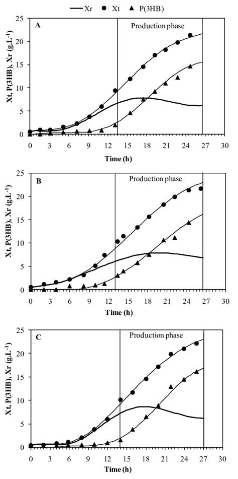 Evolution Of The Concentration Of Xt Solid Circle P3hb Solid Download Scientific Diagram
