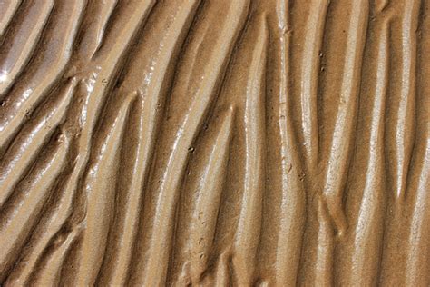 Free Sand Sea Beach Nature Ocean Texture Background Nohatcc