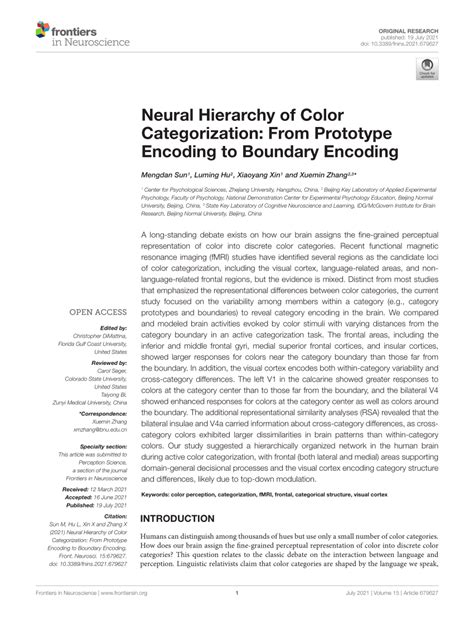 Pdf Neural Hierarchy Of Color Categorization From Prototype Encoding To Boundary Encoding