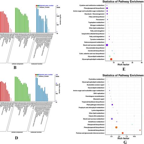The Number Of Transcription Factors In Wild And Cultivated Soybean