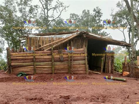 လားရှိုးမြို့နယ်၊ ဟိုလောင်းရွာအနီးရှိ Tnla အကြမ်းဖက်စခန်းကုန်းကို လုံခြုံရေးတပ်ဖွဲ့ဝင်များက တိုက