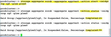 Remote Infrastructure Management Netapp Ontap 9 Raid Tec Configuration