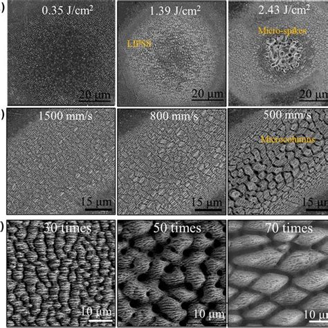 Micronano Structure Evolution A Femtosecond Laser Single Irradiated