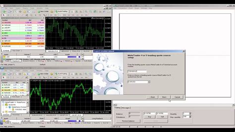 Connection Of MT Trading Terminal To Megatrader YouTube