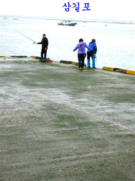 장고항 실치축제 ㅡ당진 장고항 노적봉 ㅡ서산 삼길포항ㅡ충청남도 당진시 석문면 장고항리 615 11 ㅡ충청남도 당진시 석문면 장고항리에 있는 국가 어항ㅡ 청솔 경운아