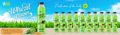 Wheatgrass With Coffee 300 Ml 101 Fl Oz Juice Drink Vinut 24 Bottles