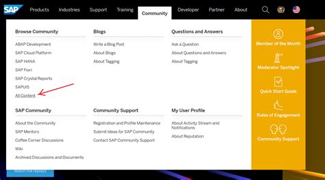 Community Navigation For Newbie Issues SAP Community