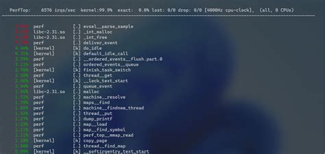 Perf 和火焰图 Eureka