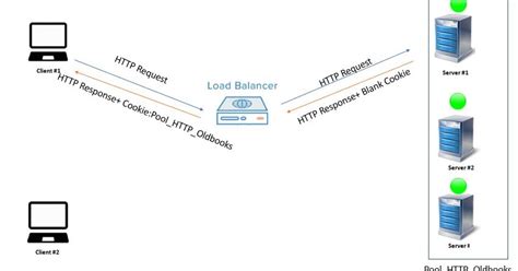 Cookie Persistence Methods ~ Network And Security Consultant