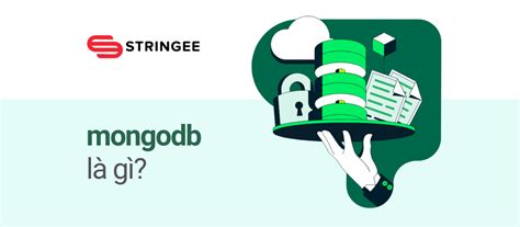 Mongodb Là Gì Hiểu Về Cơ Sở Dữ Liệu Phi Quan Hệ Mongodb