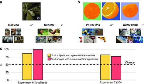 Classification With Perturbed Natural Images And 3d Objects A In Download Scientific Diagram