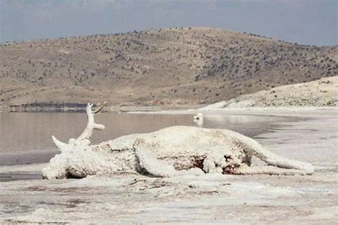 Güney Azərbaycanın Qanayan Yarası Urmiya Gölü