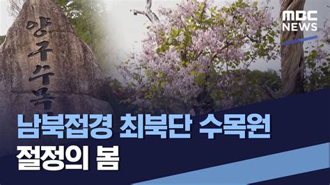 남북접경 최북단 수목원 절정의 봄 20230506통일전망대mbc Youtube