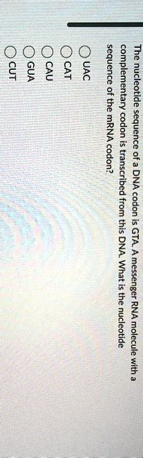 The Nucleotide Sequence Of A Dna Codon Is Gta A Messenger Rna Molecule With A Complementary