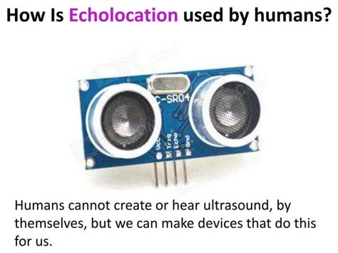 Echolocation Pptx Digital Audio Computer Software And Applications