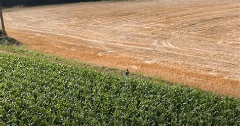 Timac Agro Raiffeisen Trgovina