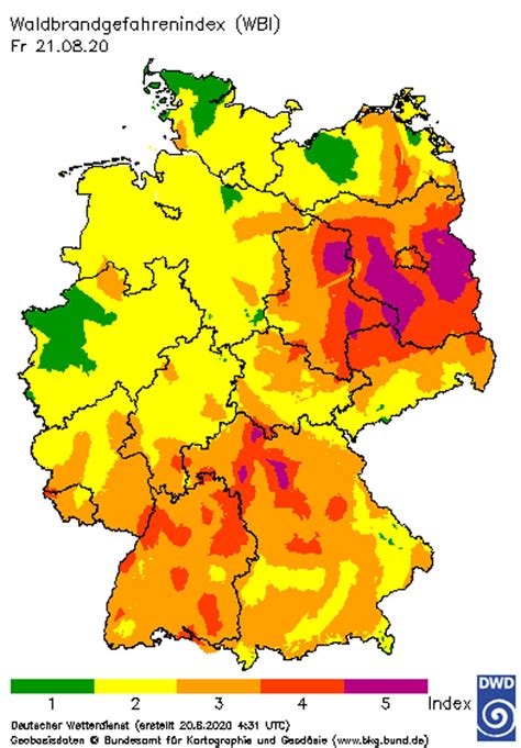 Extremwetter In Deutschland Dürre Und Waldbrände Vs Starkregen Und