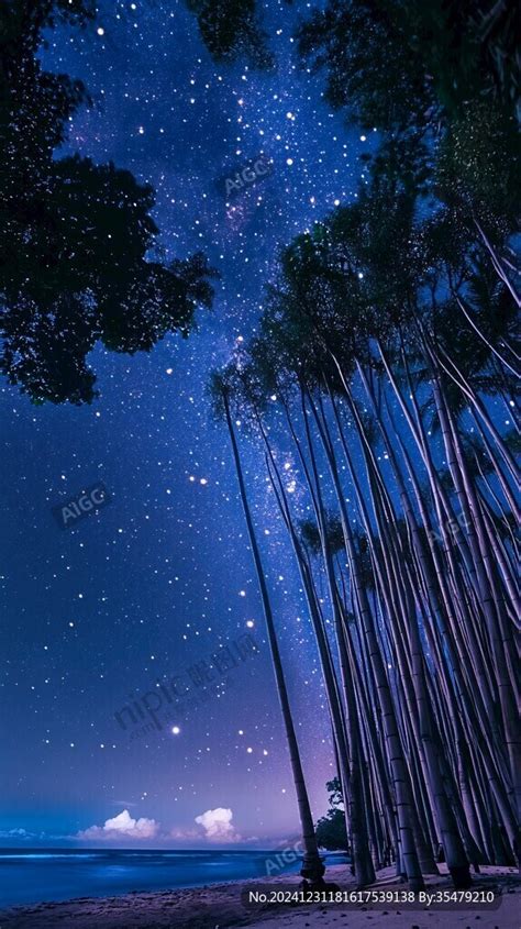 AI创作图棕榈树夜景 猴研岛银河 唯美流星雨 唯美星雨 夜晚的棕榈树 大海星辰 椰林晚风 星之语 影汇之星夜色 星海夜景 创意夜景合成 流星雨