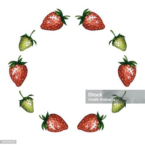 딸기 화환 빨강과 초록색 열매가 있는 둥근 프레임 손으로 그린 수채화 그림 로고 배너 인사말 카드 초대장 또는 메뉴 디자인에 이상적인 템플릿입니다 0명에 대한 스톡 벡터