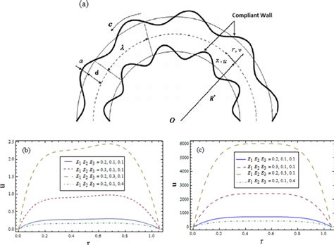 A Schematic Picture Of The Problem Plot Of Velocity U For Wall