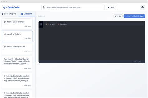 推荐一款开源免费的代码片段管理工具seekcode（数据在本地更安全） 开源代码管理安全工具 csdn博客