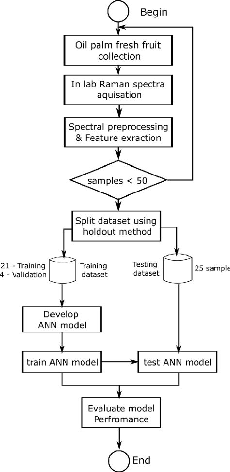 Figure 2 From Classification Of Oil Palm Fruit Ripeness Using