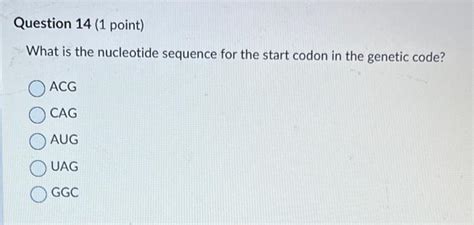 Solved What Is The Function Of Dna Primase In Dna