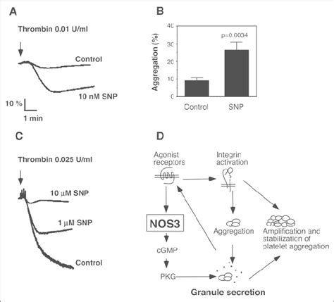 The Biphasic Effects Of NO Donor On Platelet Activation And A Novel Download Scientific Diagram