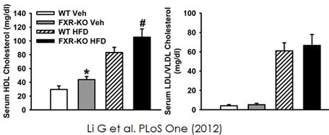 Cholesterol Assay Kit Hdl And Ldlvldl Ab65390 Abcam