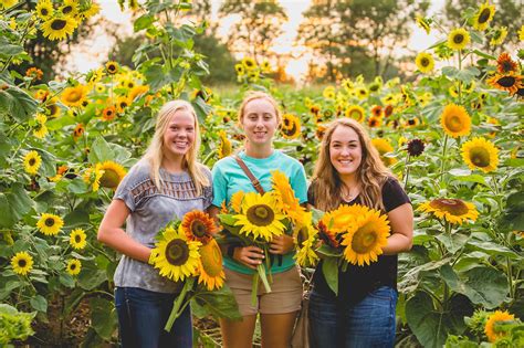 Sunflower Exhibit CSF