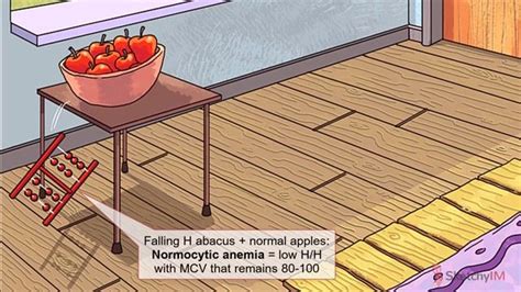 Normocytic Anemia Ddx Free Sketchy Medical Lesson