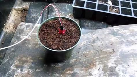 Homemade Plant Moisture Sensor