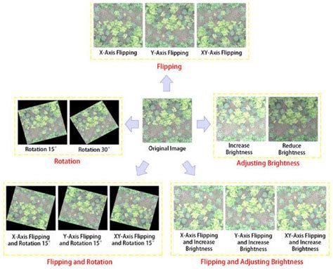 Tree Seedlings Detection And Counting Using A Deep Learning Algorithm