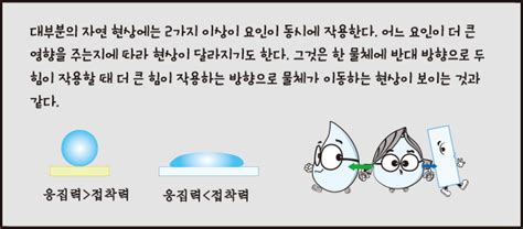 응집력과 접착력
