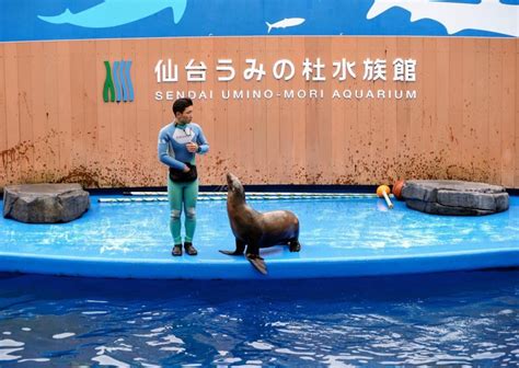 2025台湾の旧正月まとめ現地での過ごし方と観光のポイントを解説